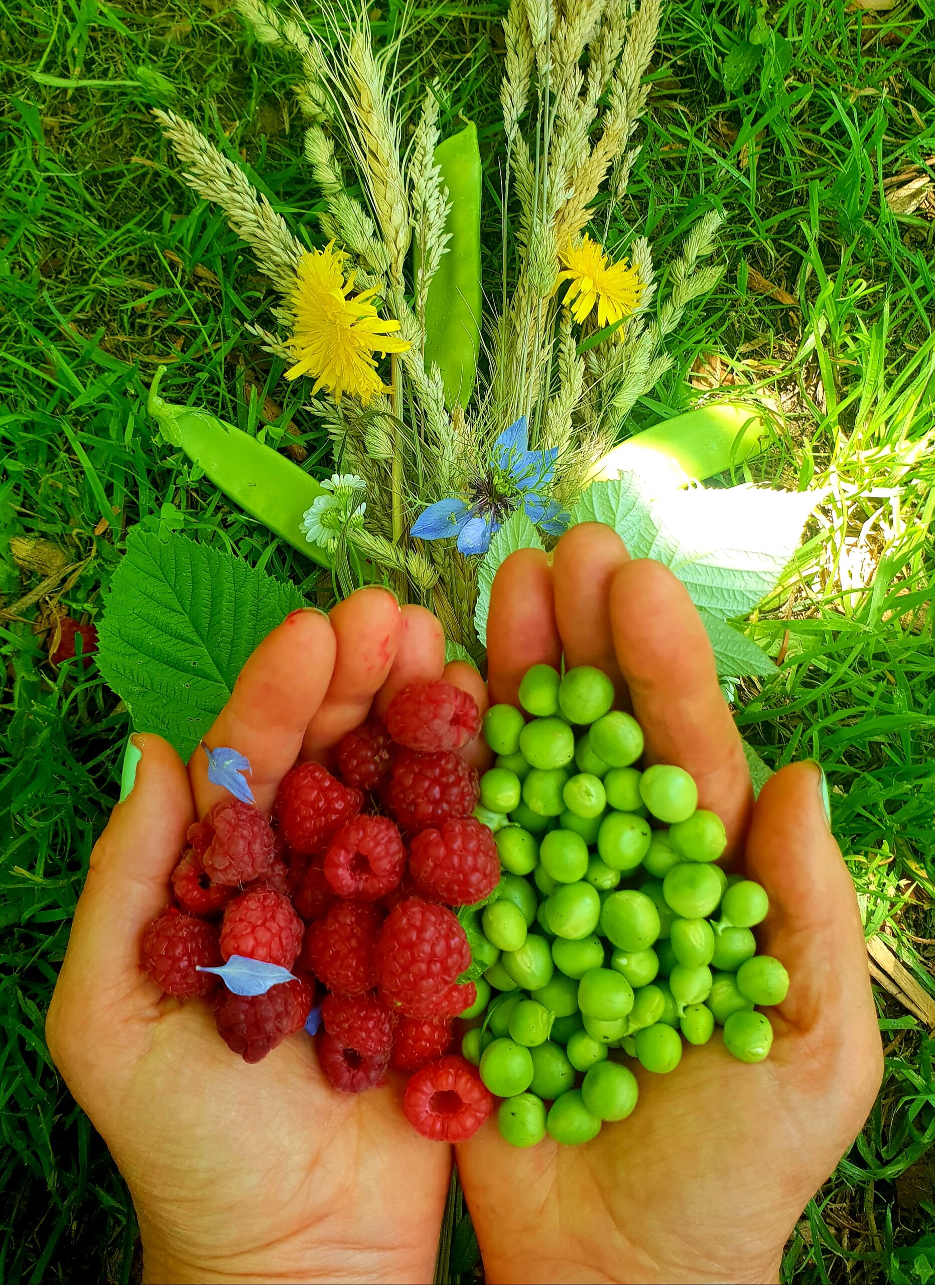 Auslansoulnews Summer 2023 Irene Holub Auslansoulnews Summer 2023 Irene Holub
